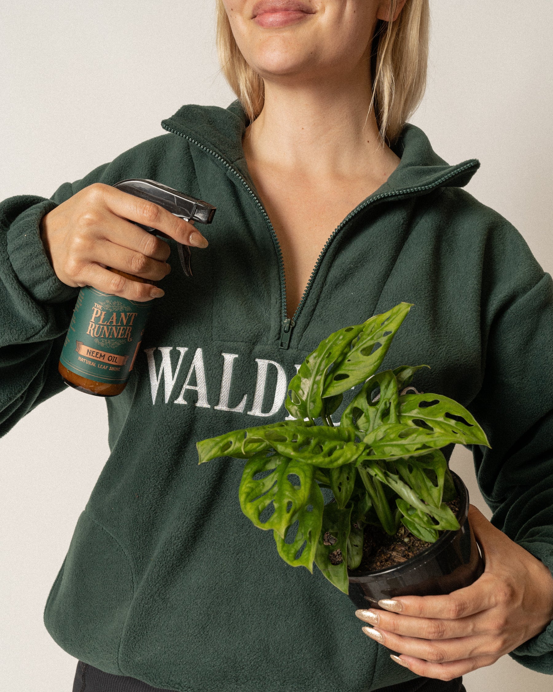 Waldecks Garden Centres