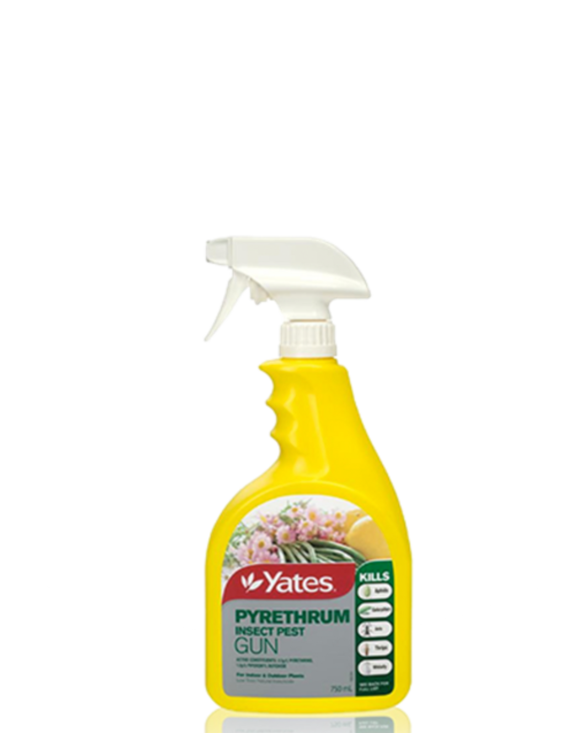 Pyrethrum Spray - Ready To Use